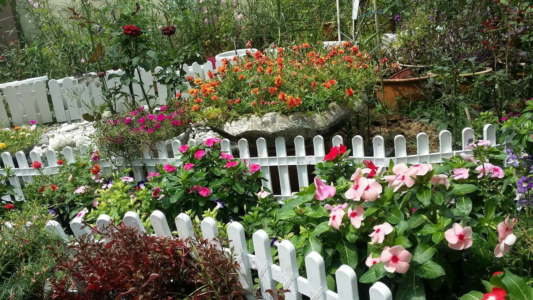 Landskap Taman Bunga (Gambar) 2025 • Impian Anda Disini